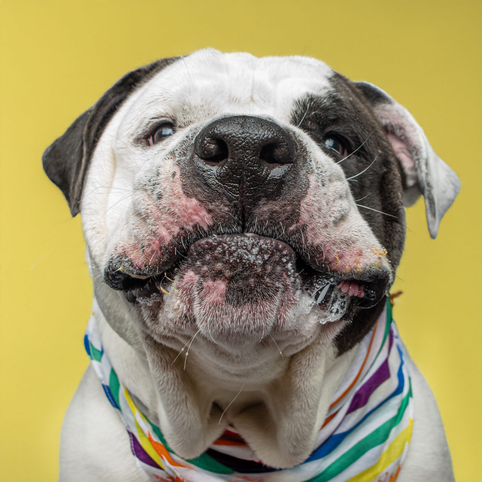 Home Page - Humane Colorado