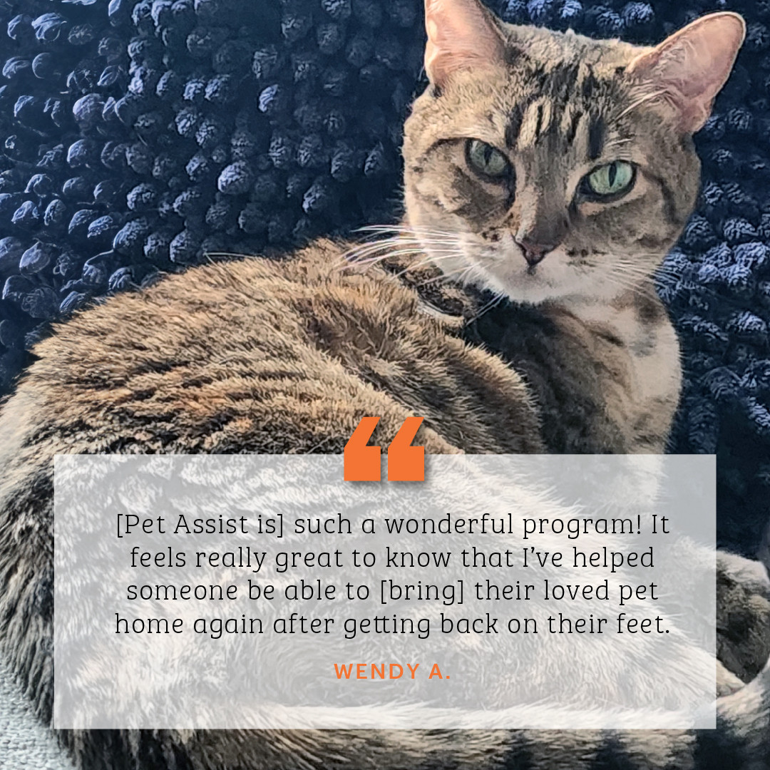 Be the change: Fostering in Pet Assist program - Humane Colorado